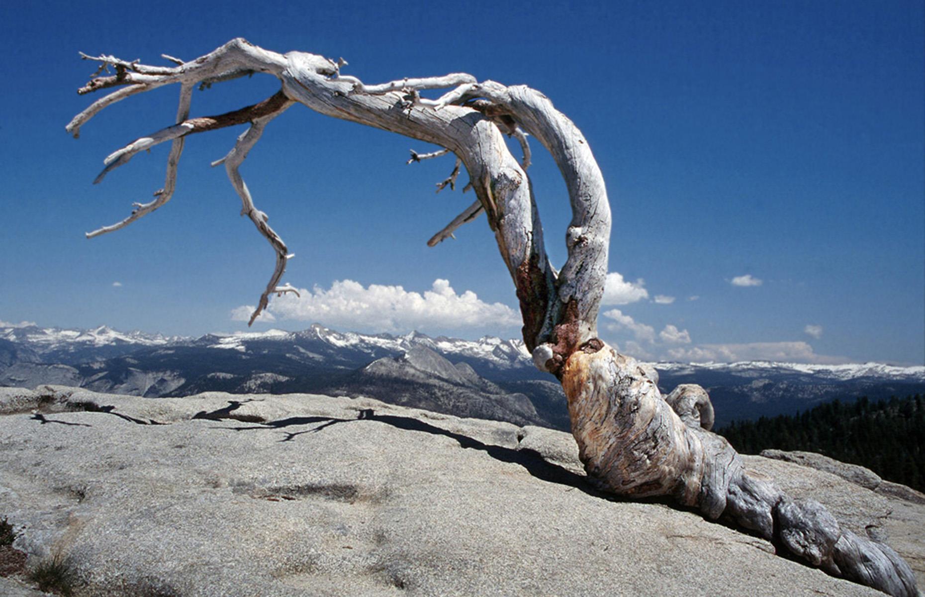 Fallece la actriz Flor Procuna, villana de ‘Los Ricos También Lloran’