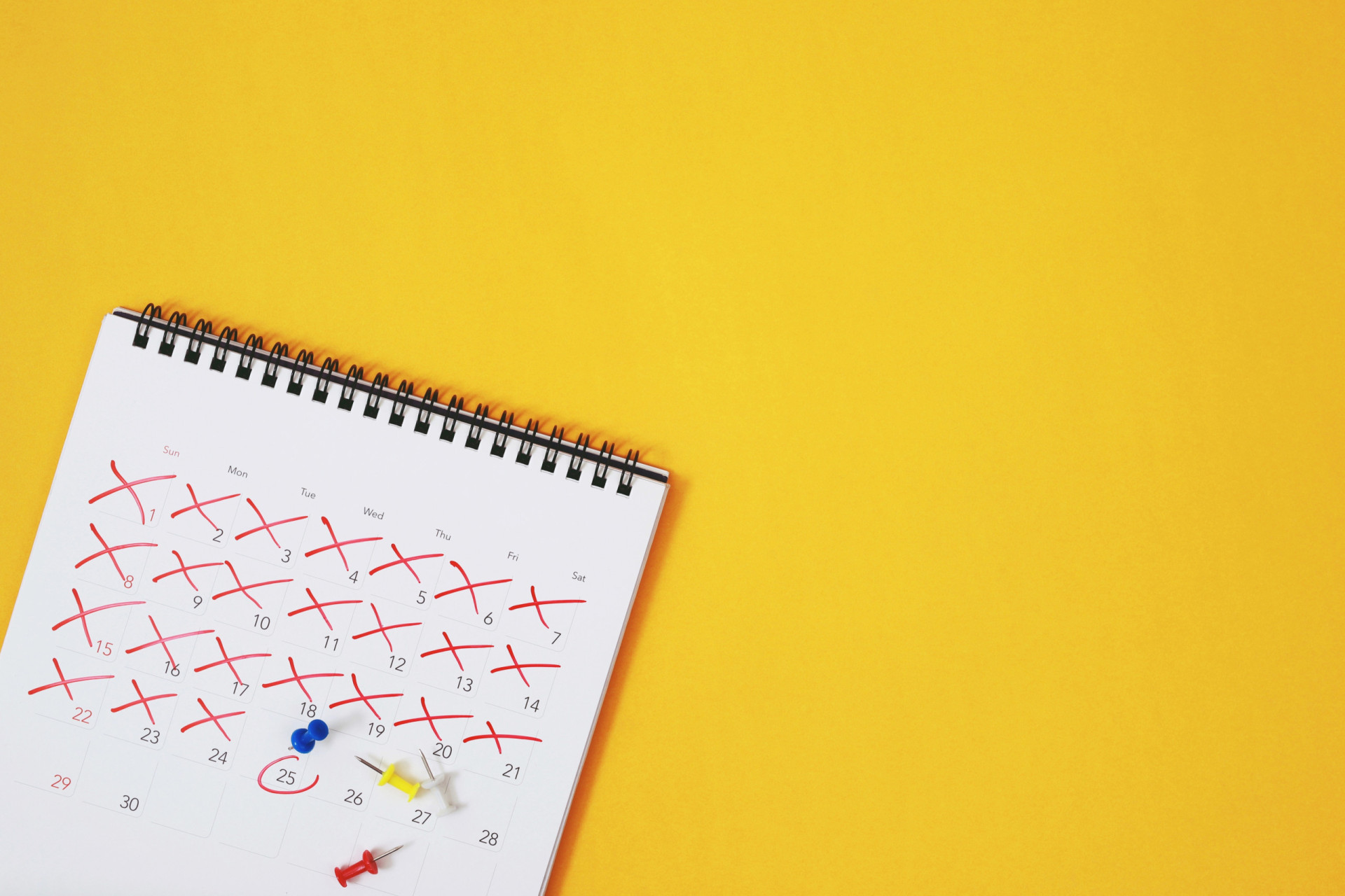 Famous people who died of overdoses