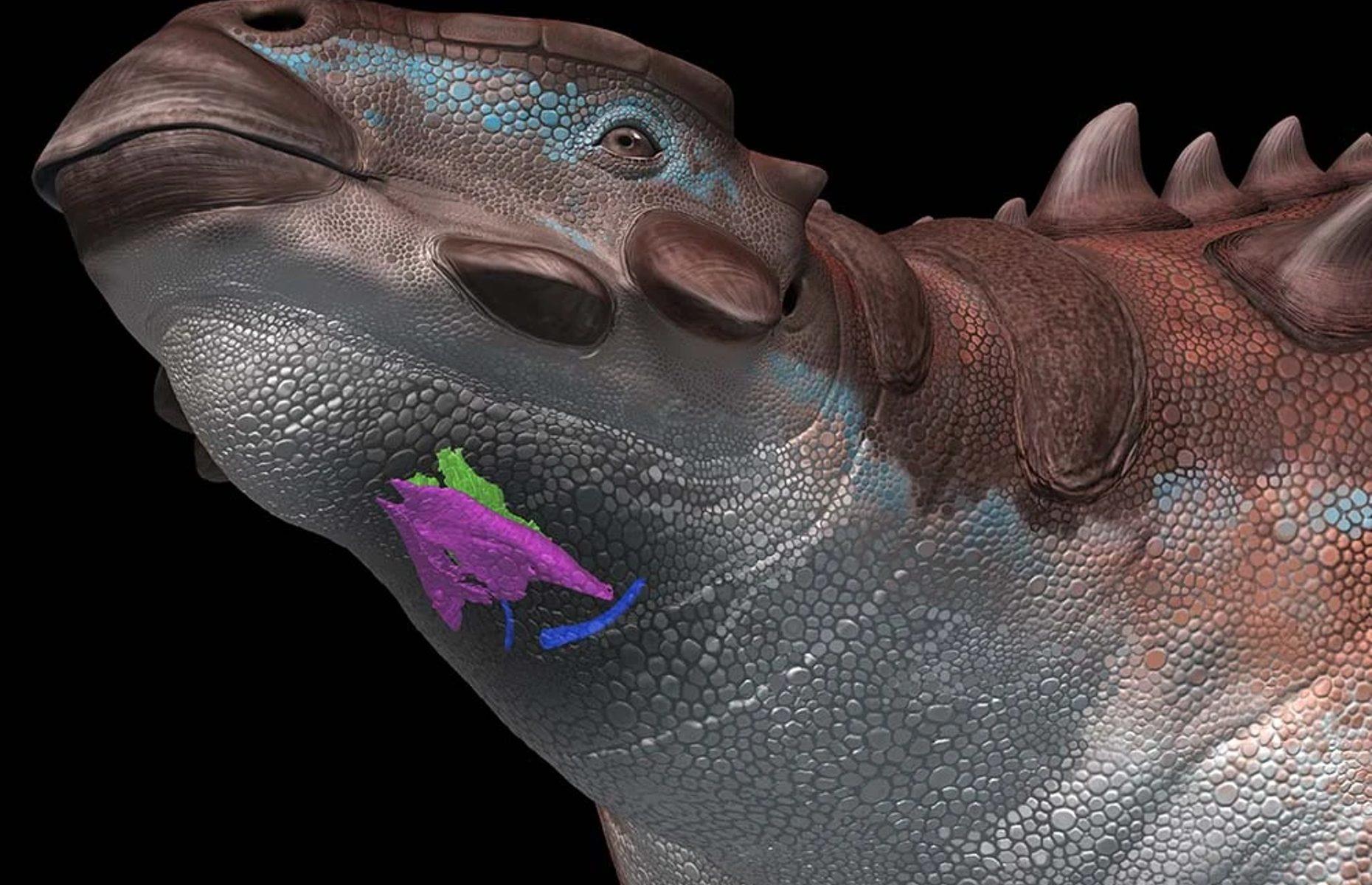 The most extraordinary fossils discovered this century