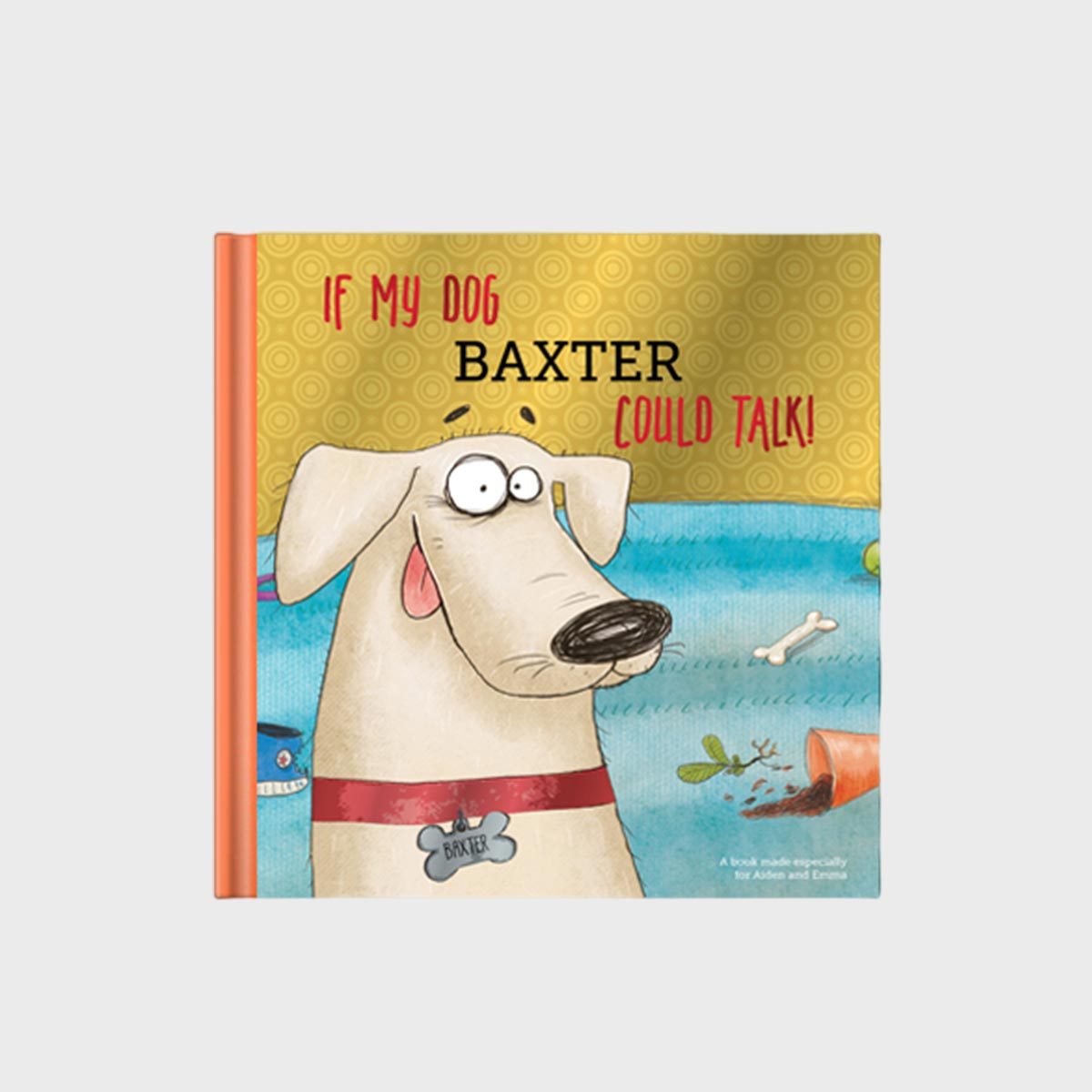 21 Best Personalized Pet Gifts for Dog and Cat Lovers