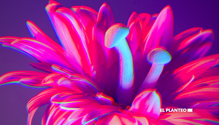 Alucinógenos y Psicodélicos: ¿Cuál Es la Diferencia?