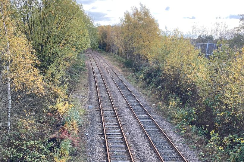 Revived Ivanhoe Line could be 'catalyst' for better local transport ...