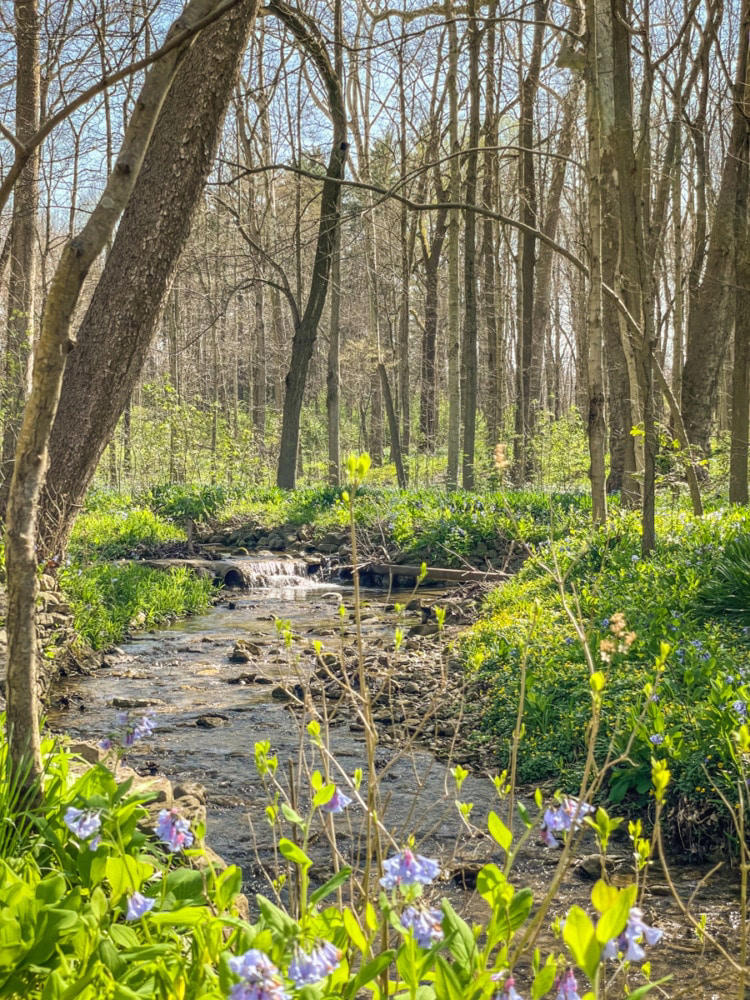 12 Day Trips From Columbus, Ohio That Everyone Should Take