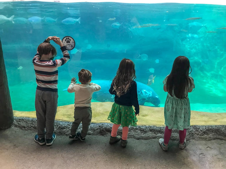 Fun Things to do in Columbus, Ohio With Kids