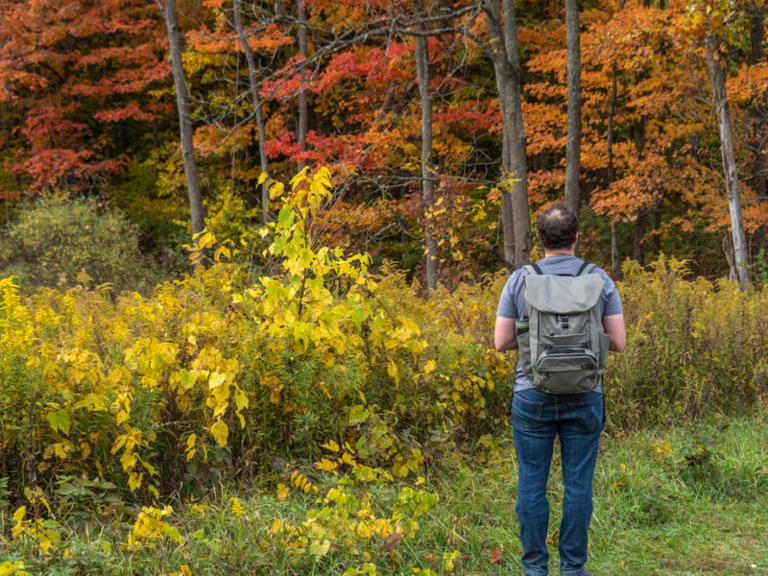 Fun Things to do in Columbus, Ohio With Kids