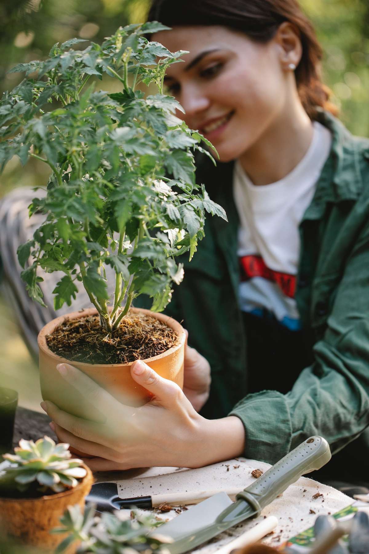 7 places to get free gardening equipment and supplies