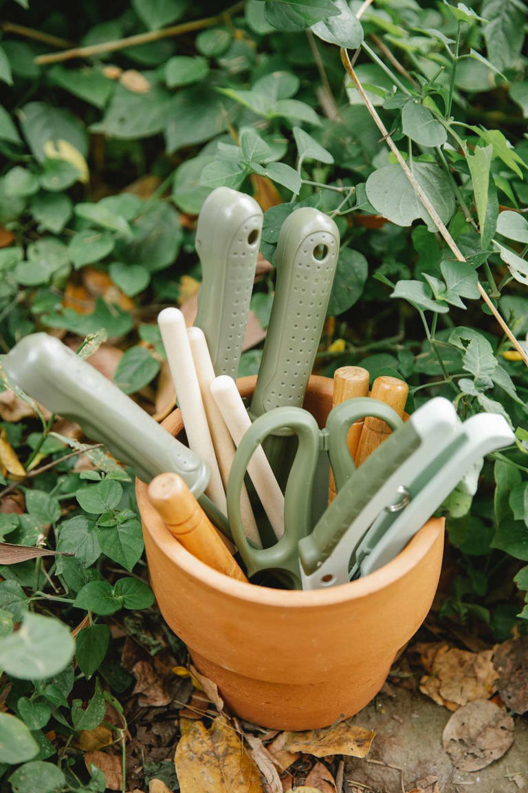 7 places to get free gardening equipment and supplies