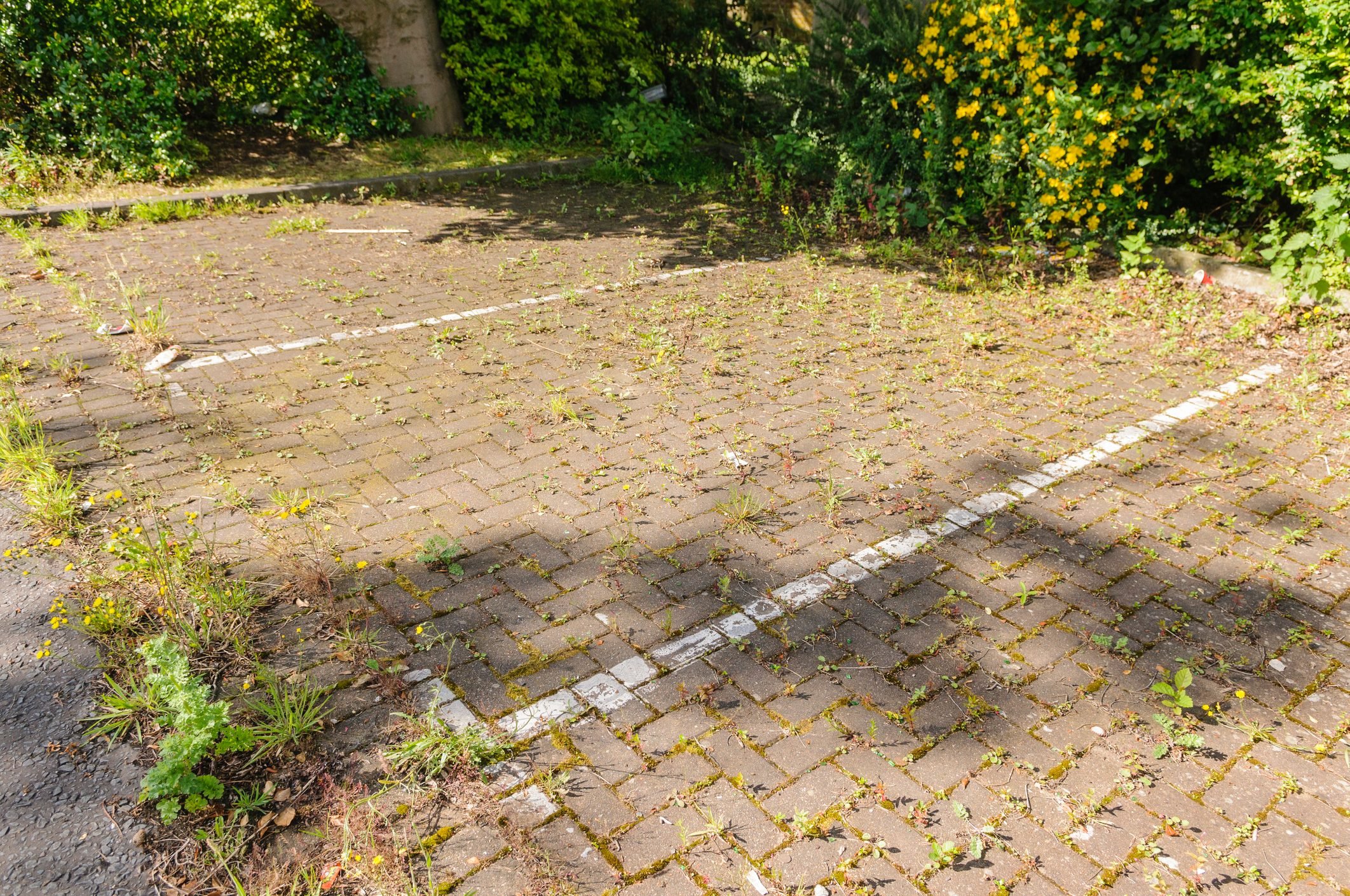 15 Red Flags You’re About to Eat at a Bad Restaurant