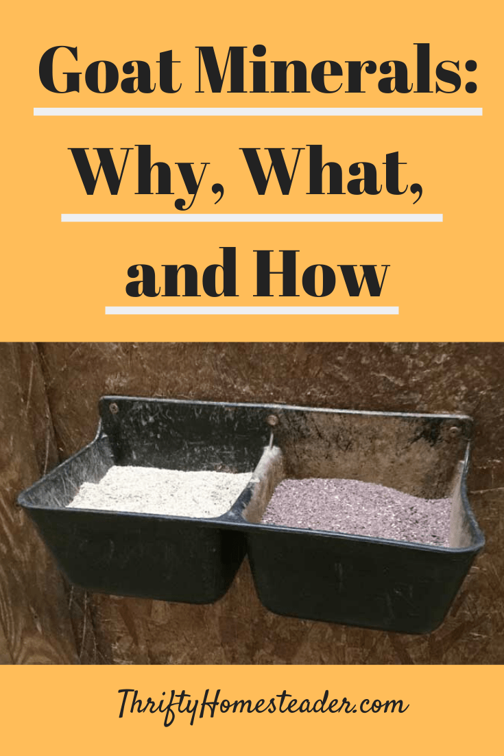 Goat Minerals: Why, What, and How