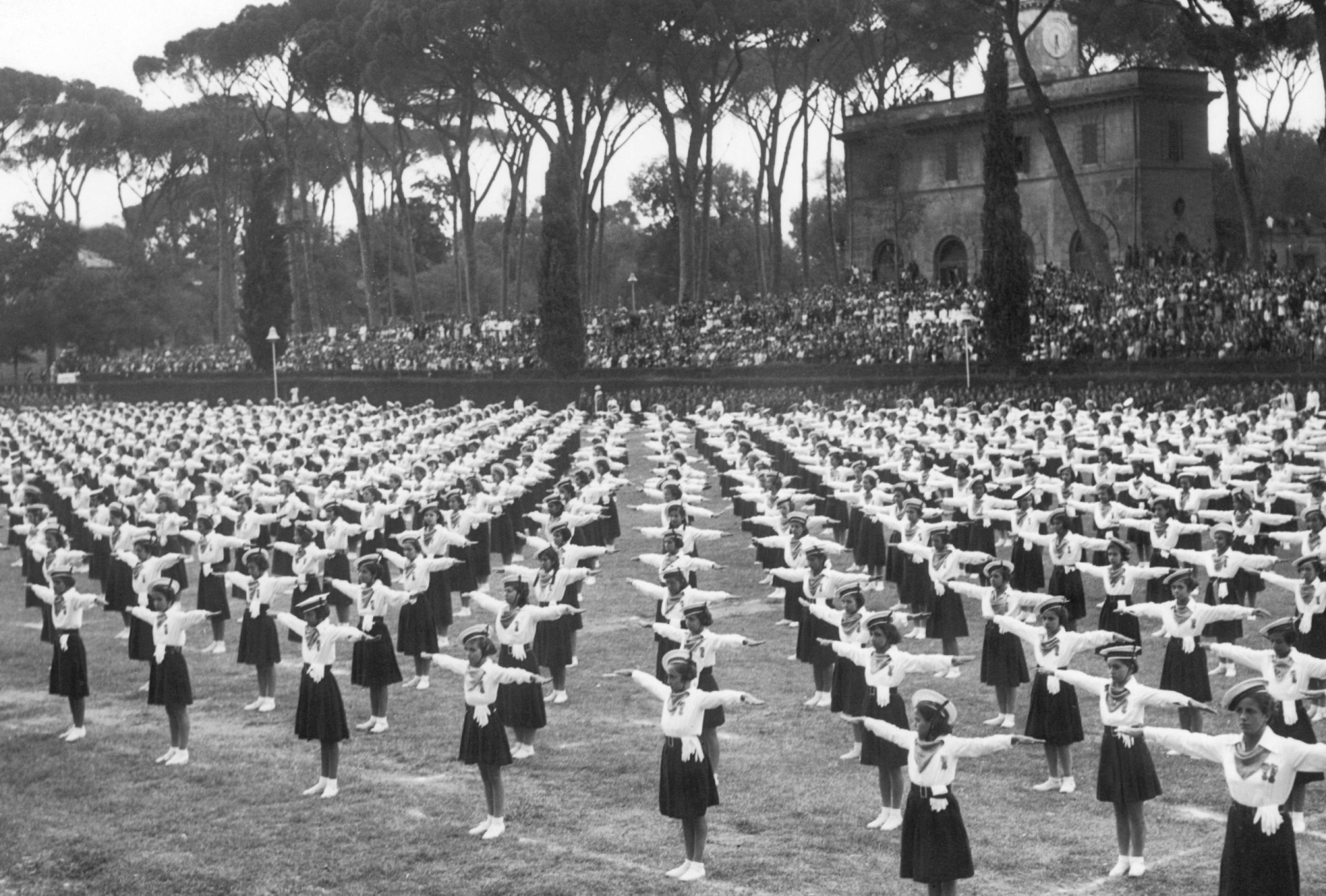 Why is fascism such a brutal ideology?