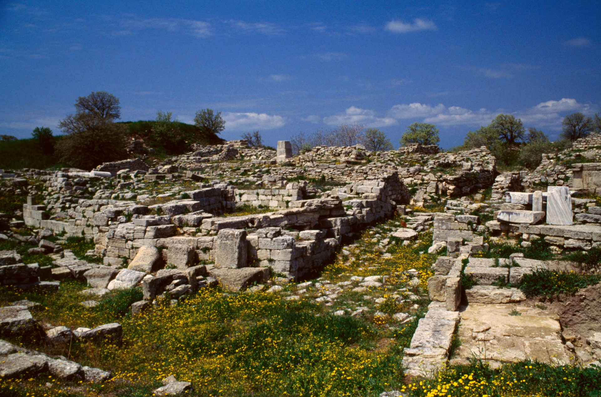 ¿Qué pasó en realidad durante la guerra de Troya?