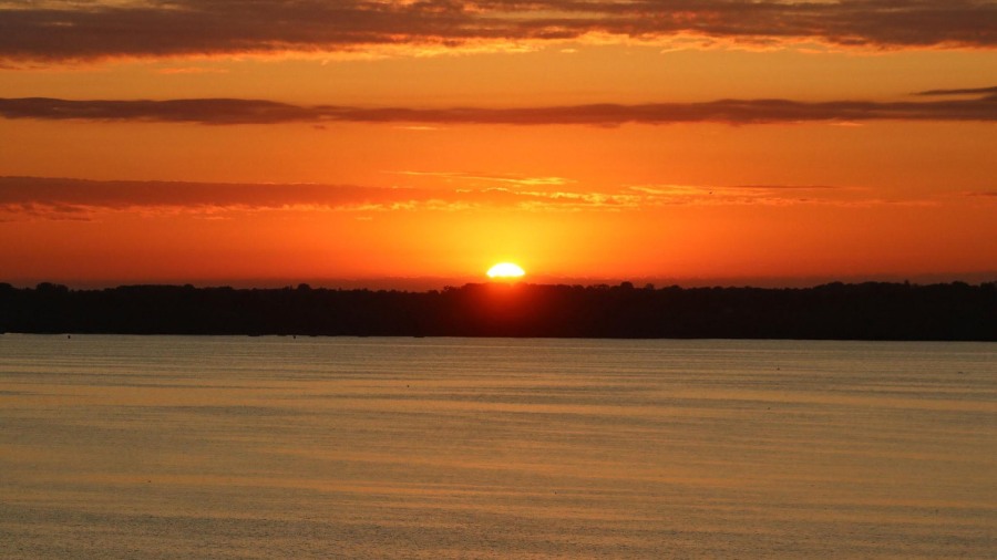 Sunrise smart start: Rochester gun data, healthcare loss