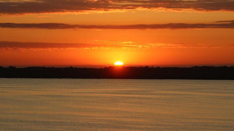 Sunrise smart start: Rochester gun data, healthcare loss