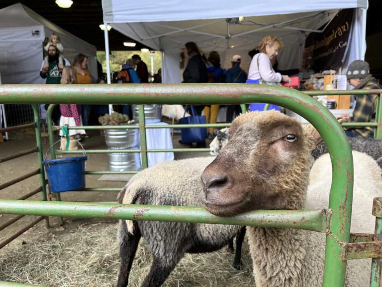 October in Vermont: 19 fall festivals to celebrate the season in 2026