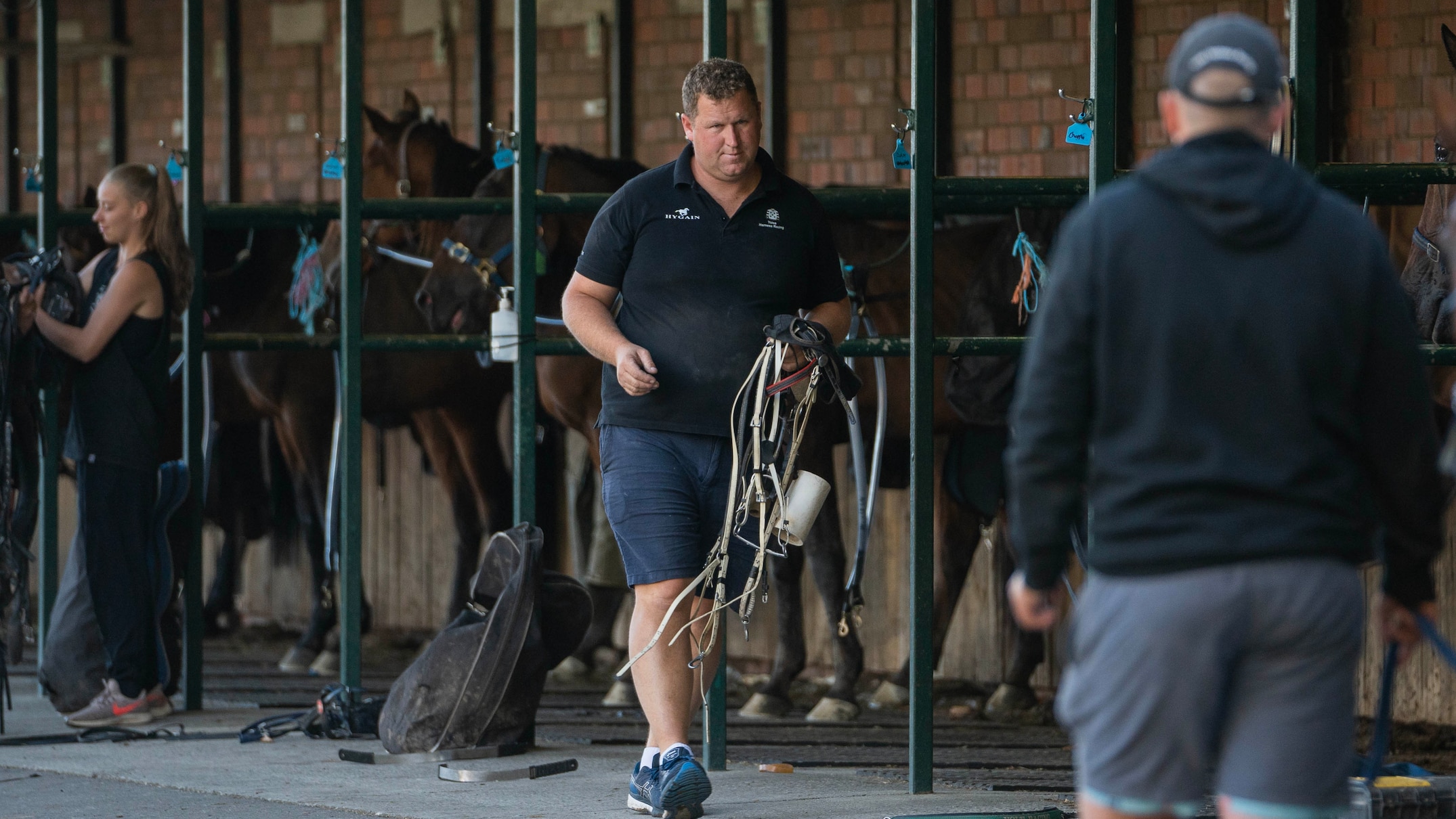 Tasracing succeeds in Supreme Court bid to 'warn off' harness racing ...