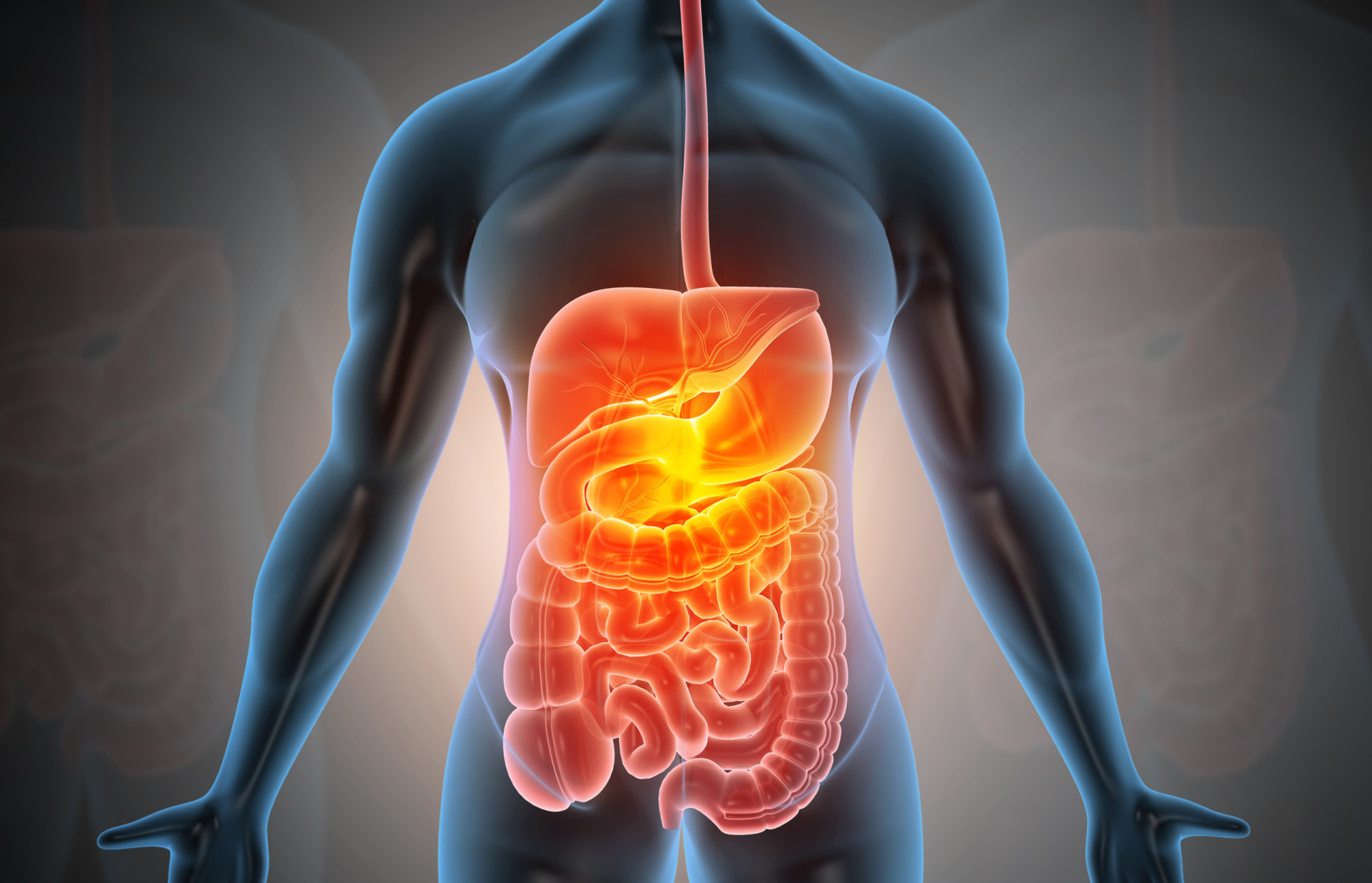 Identifying and tackling different digestive disorders