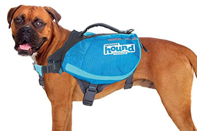 The 6 Best Dog Harnesses of 2025