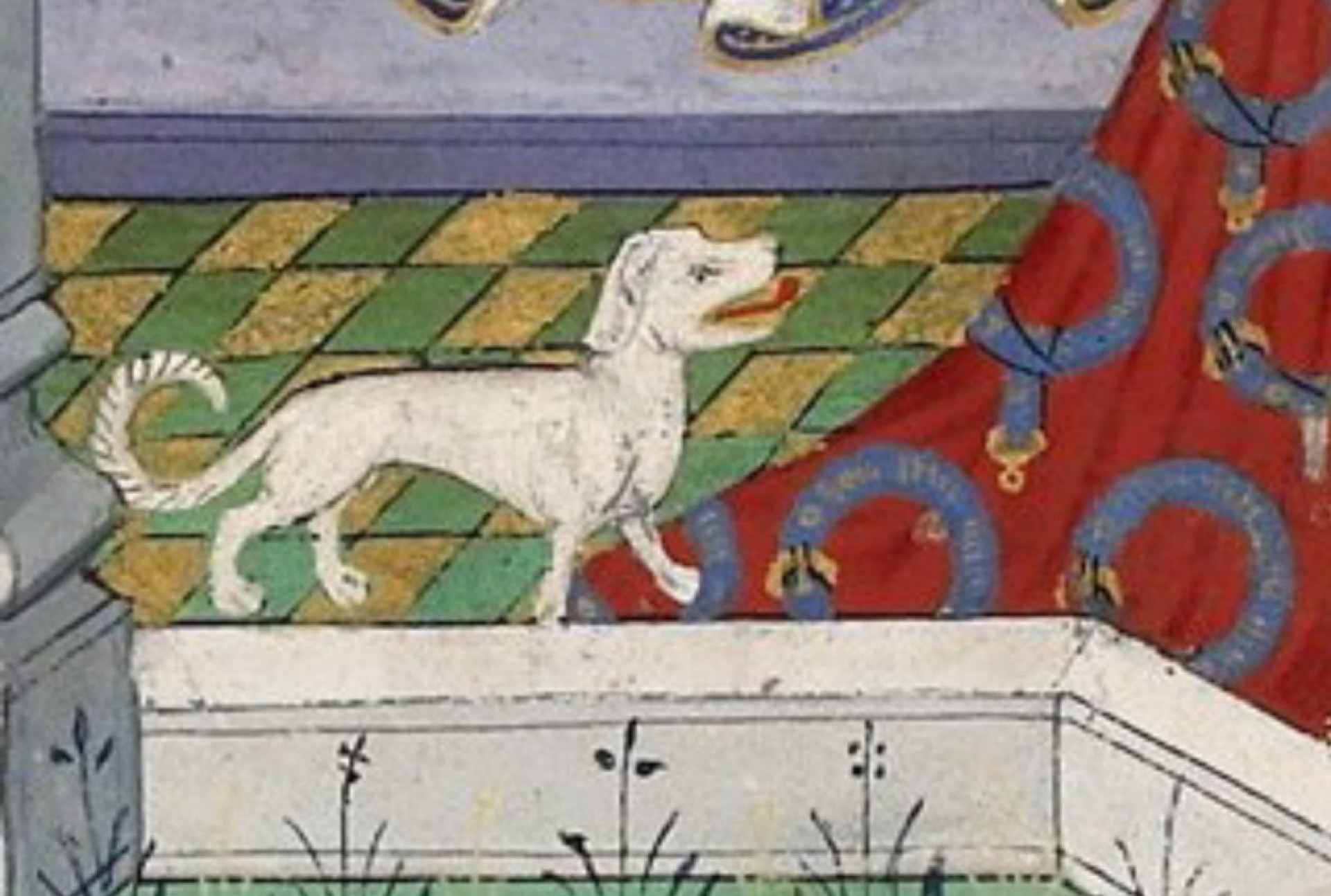 Extinct dog breeds you never knew existed