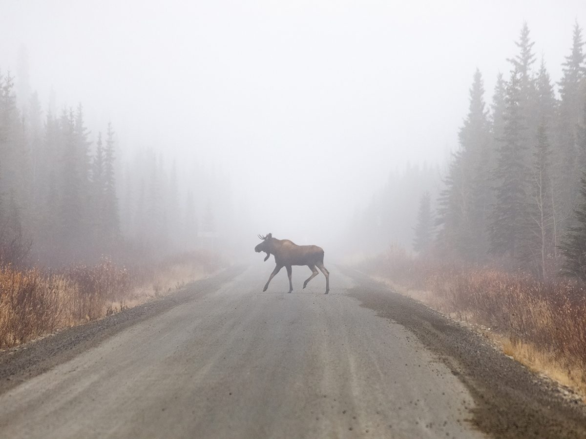 10 Myths You Need to Stop Believing About Your Car