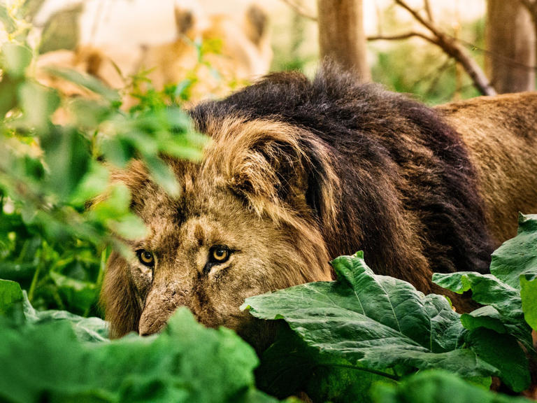 Predatory lending: everything you need to know