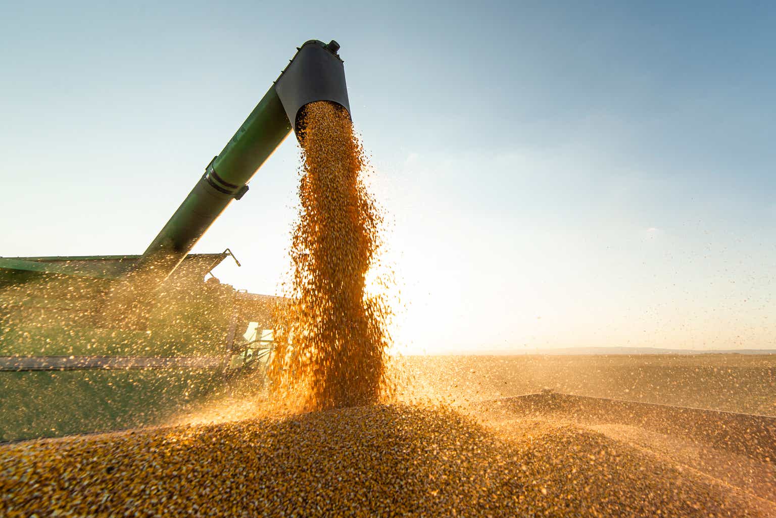 Bunge nears China ruling on $8.2B Viterra deal - Bloomberg