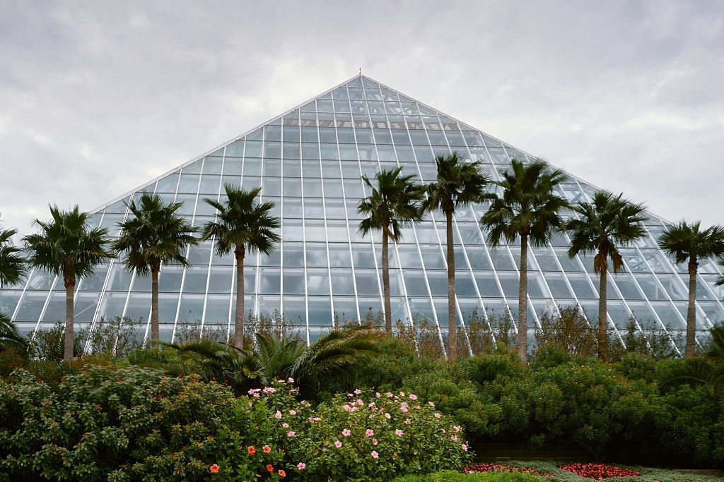 15 Self-Watering Hacks for Indoor Plant Parents