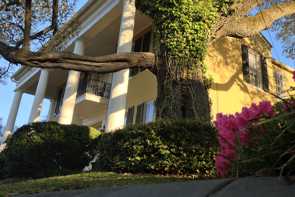 The Best Family Reunion Spot in Every State