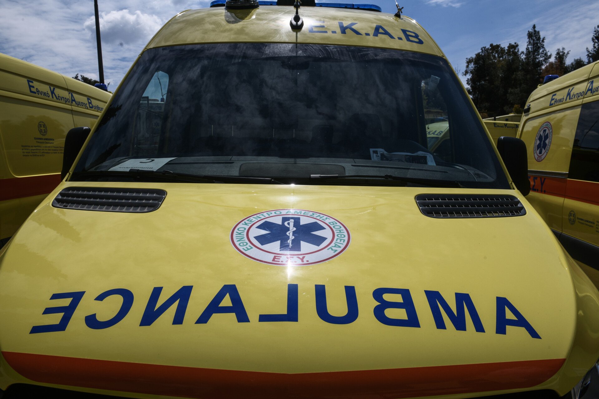 Θρήνος για τον θάνατο της εικαστικού Λίμπερτι Πολύζου και της κόρης της ...