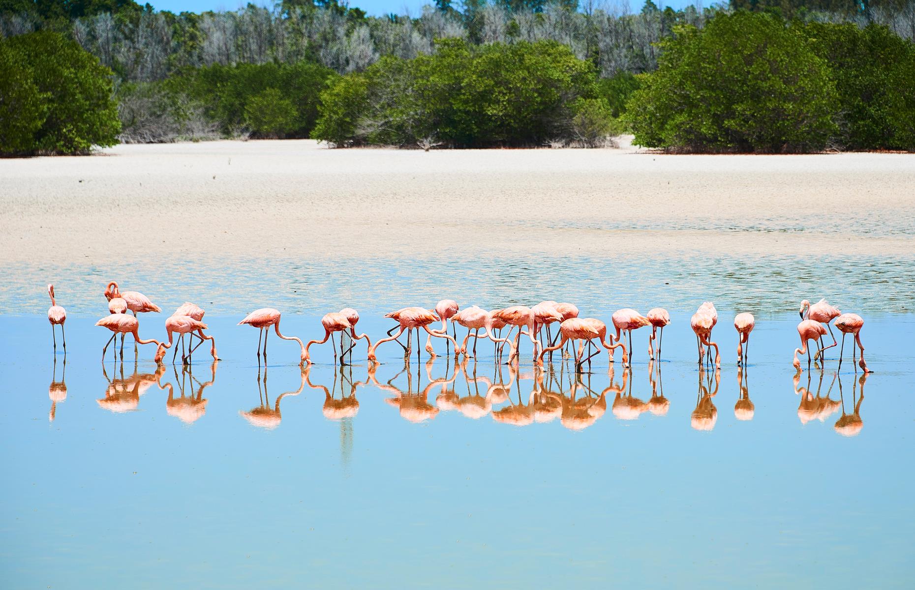 50 beautiful small islands around the world for incredible isolation