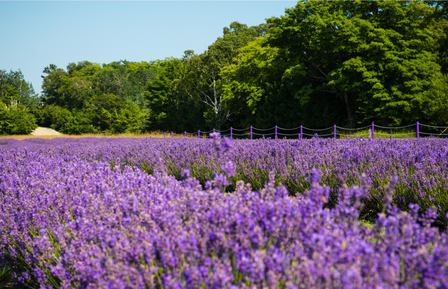 50 beautiful small islands around the world for incredible isolation