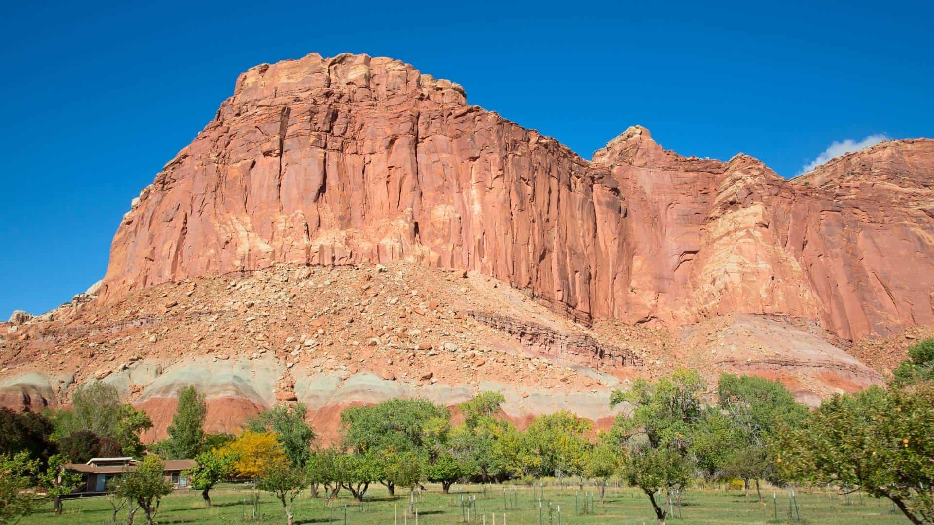Things to do in Capitol Reef National Park- Family Hikes & More!