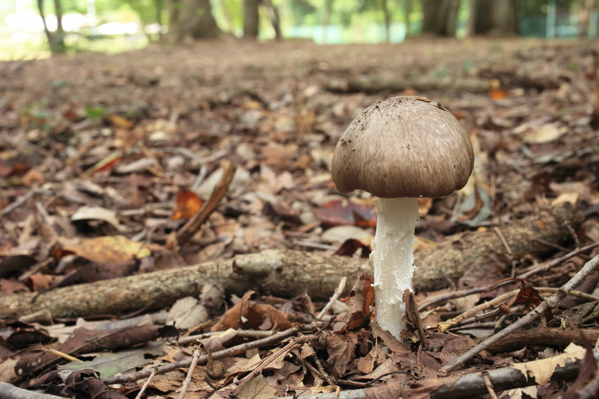 Hodenkrebs: Kennen Sie die Warnzeichen?