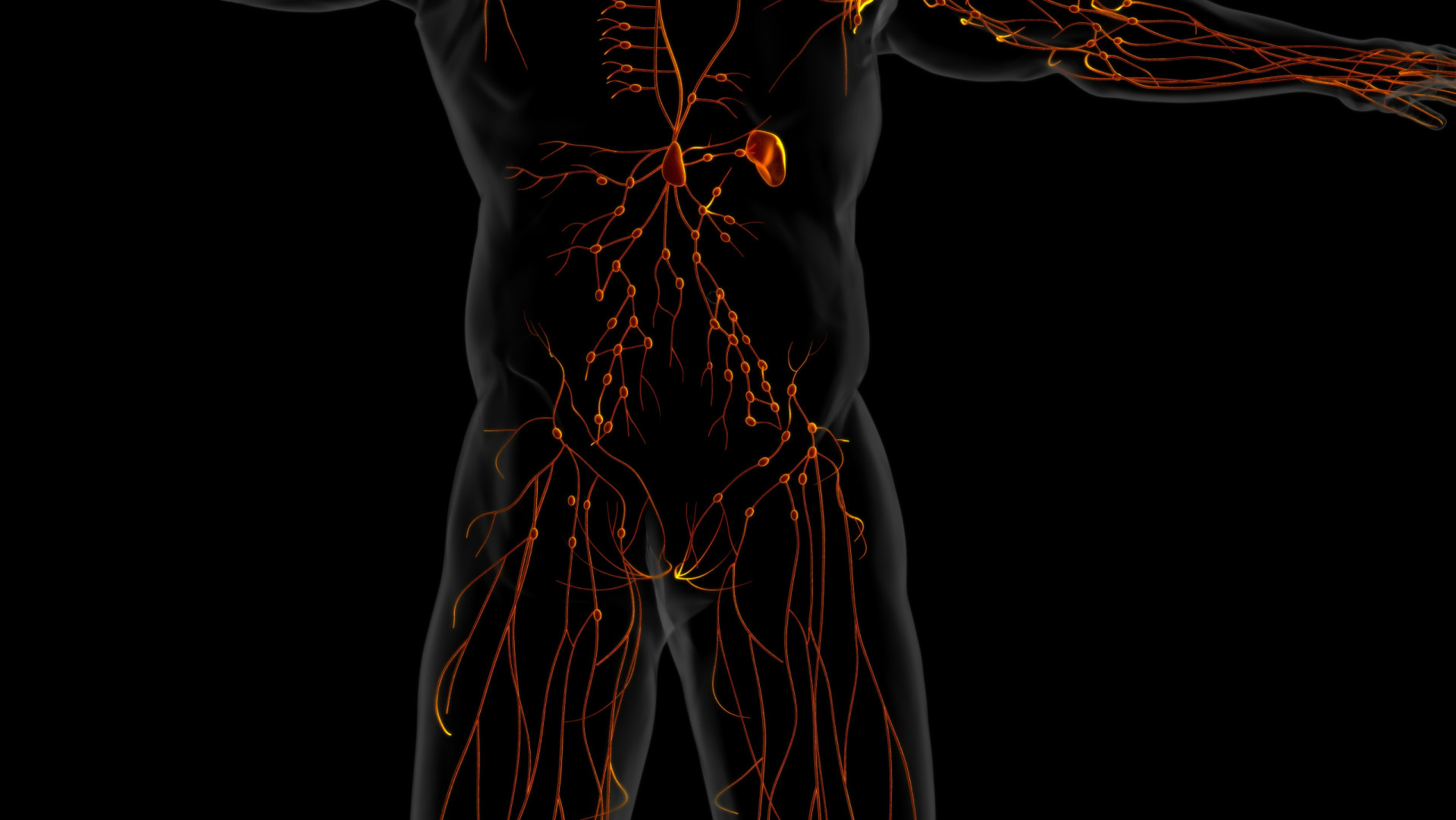 Mike du Jour by Mike Lester