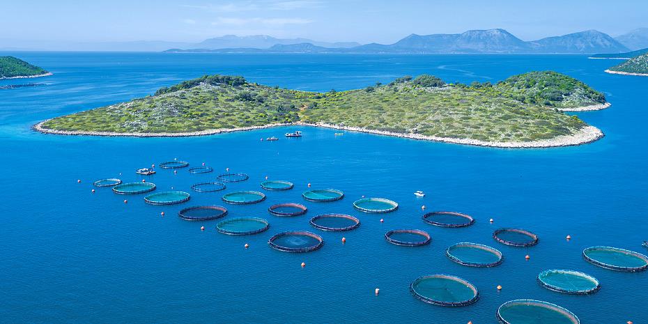 Η απάντηση της Aqua Bridge στην πρόταση της Cooke για Avramar
