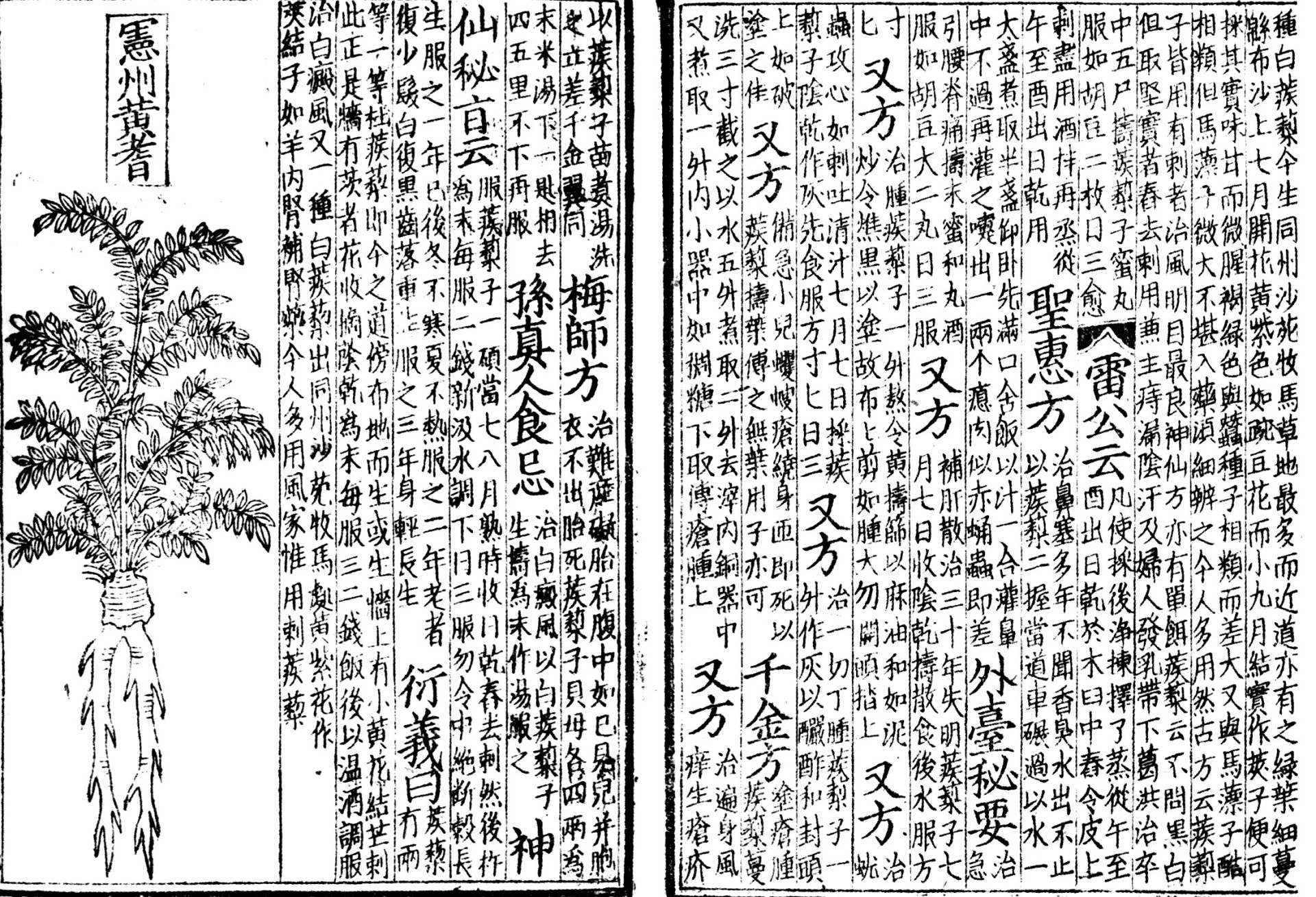 History's most impressive polymaths