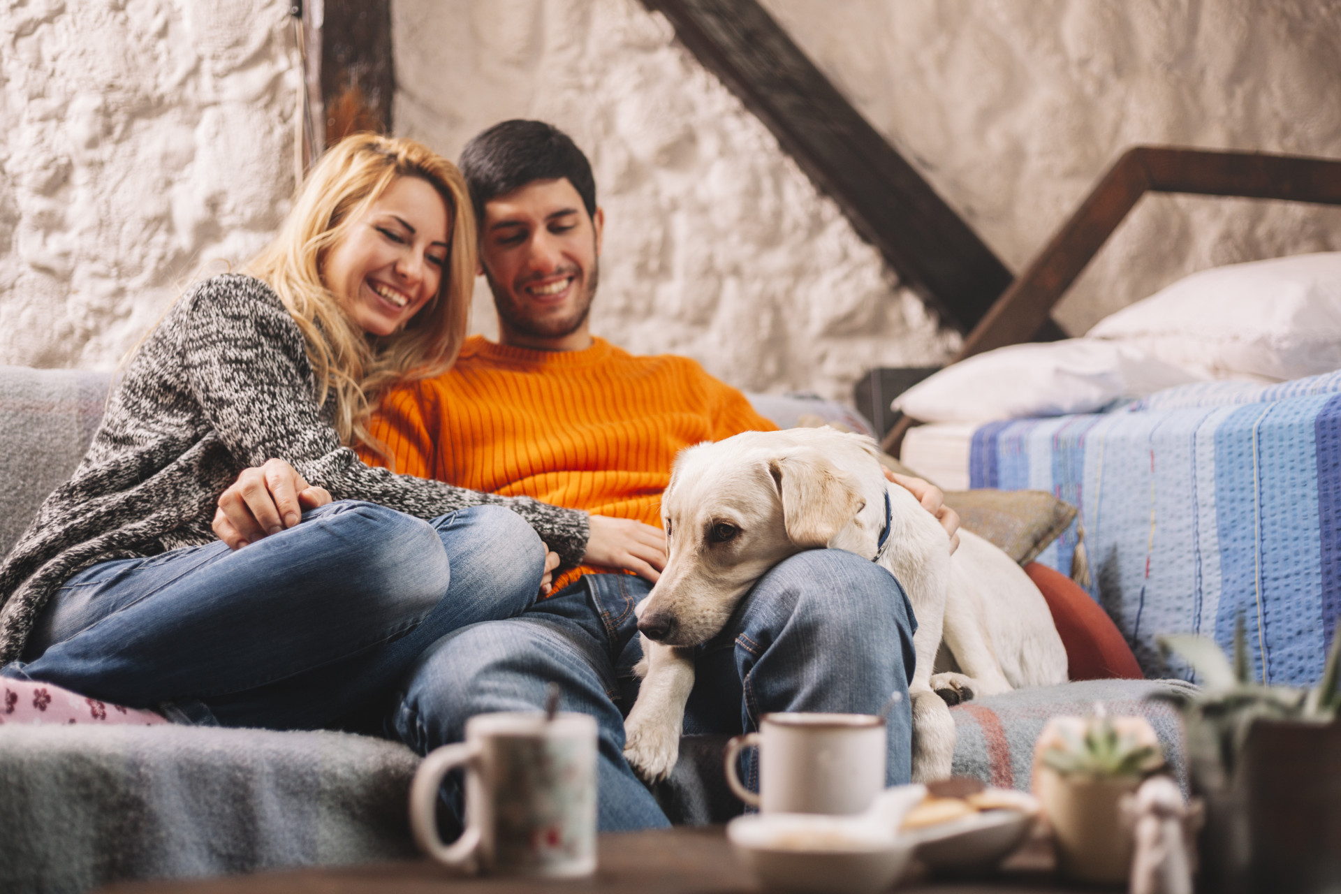 Extremely weird jobs you never knew existed