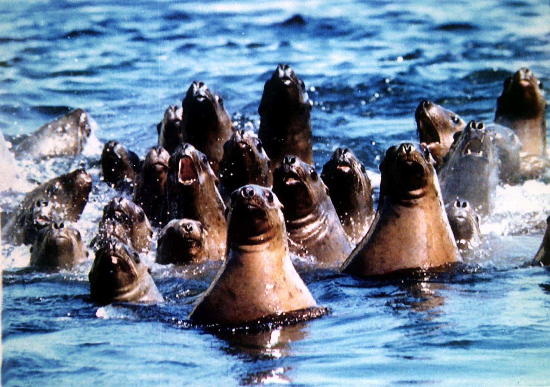 The world's worst oil spills