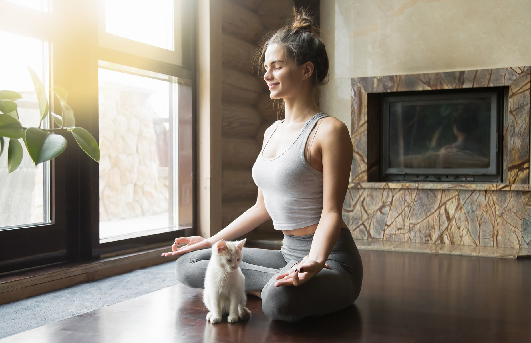 20 signs your cat loves you