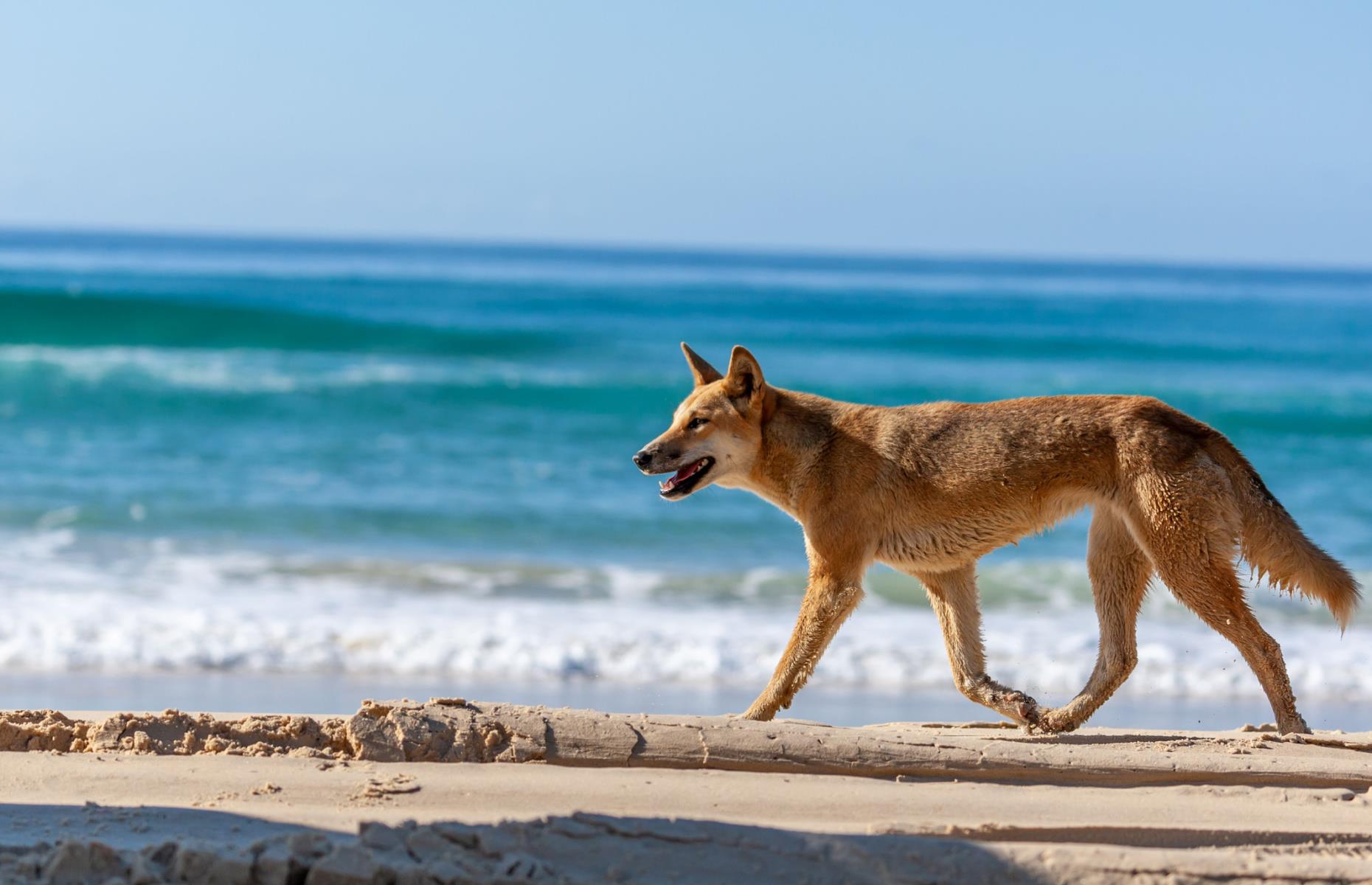 Australia's beautiful but dangerous holiday destinations