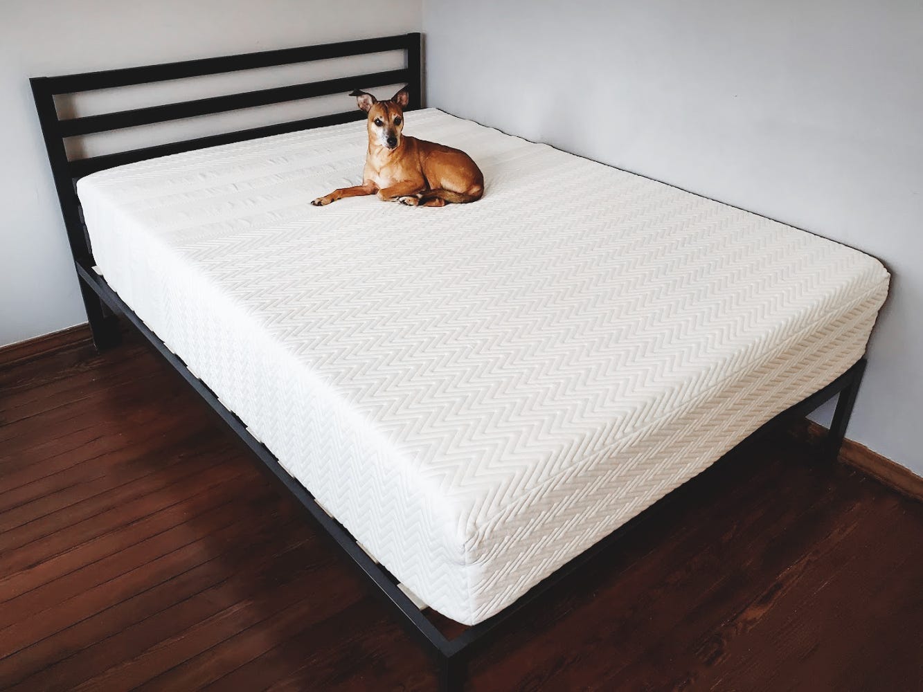 Leesa Legend Mattress review: A pressure-relieving option for side ...
