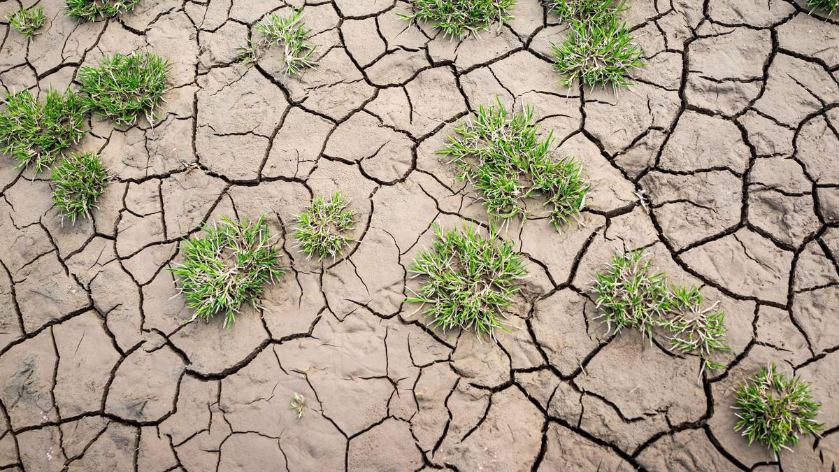 Quase metade do país estava em seca meteorológica no final de maio Quase metade do país estava em seca meteorológica no final de maio