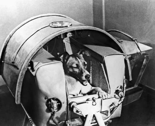 Ces choses étranges que les humains ont envoyées dans l'espace... Ces choses étranges que les humains ont envoyées dans l'espace...
