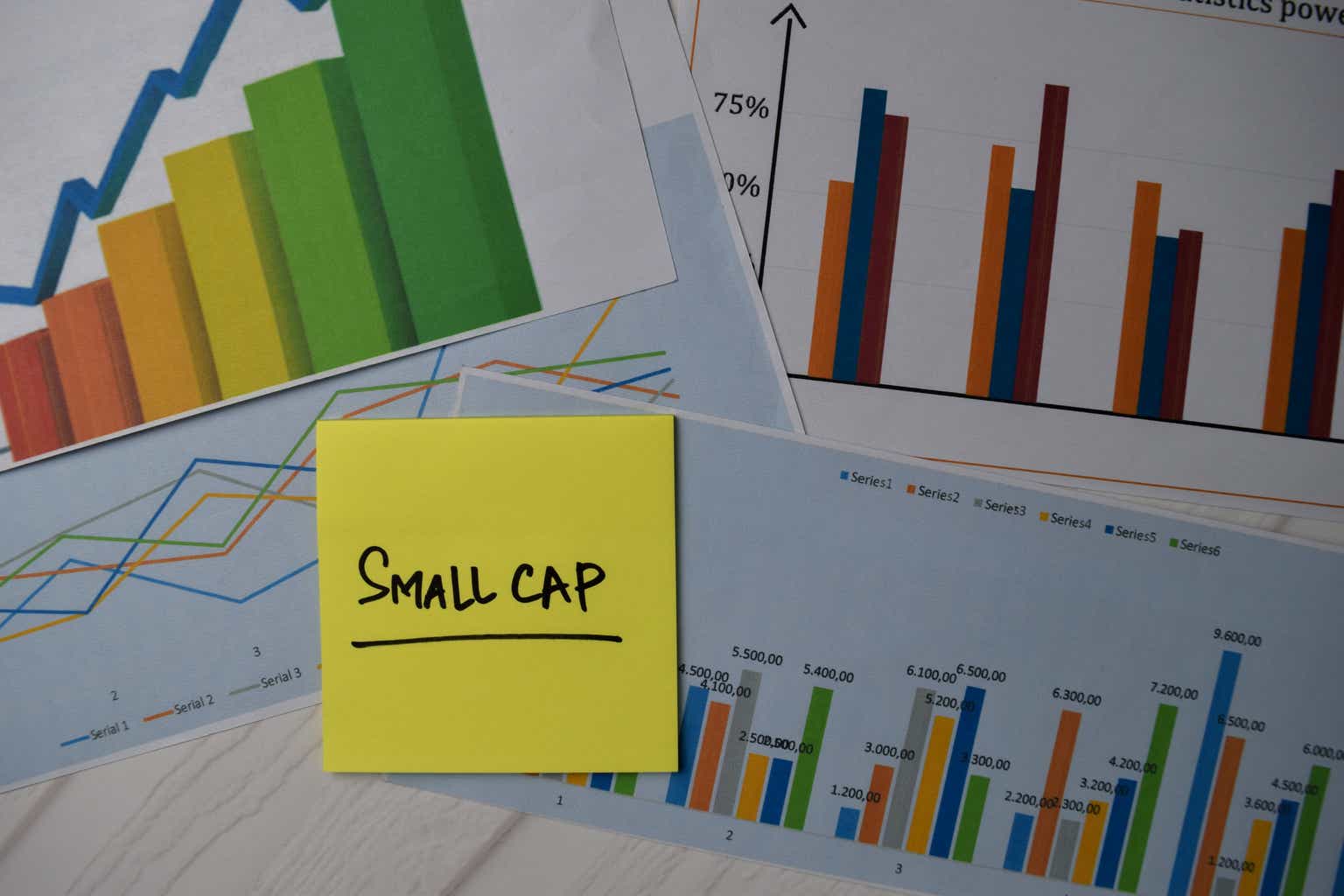 Small-cap ETF shines in 2026: Here are its top 10 holdings