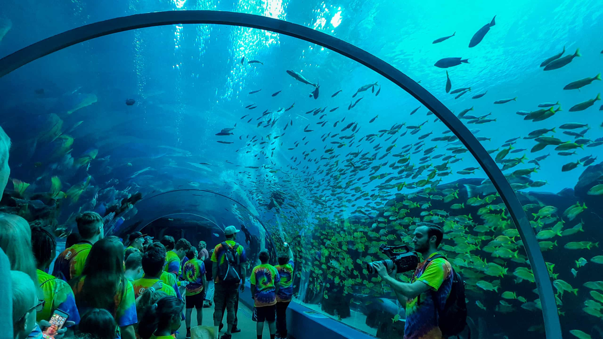 Discover the most amazing tunnels in the world