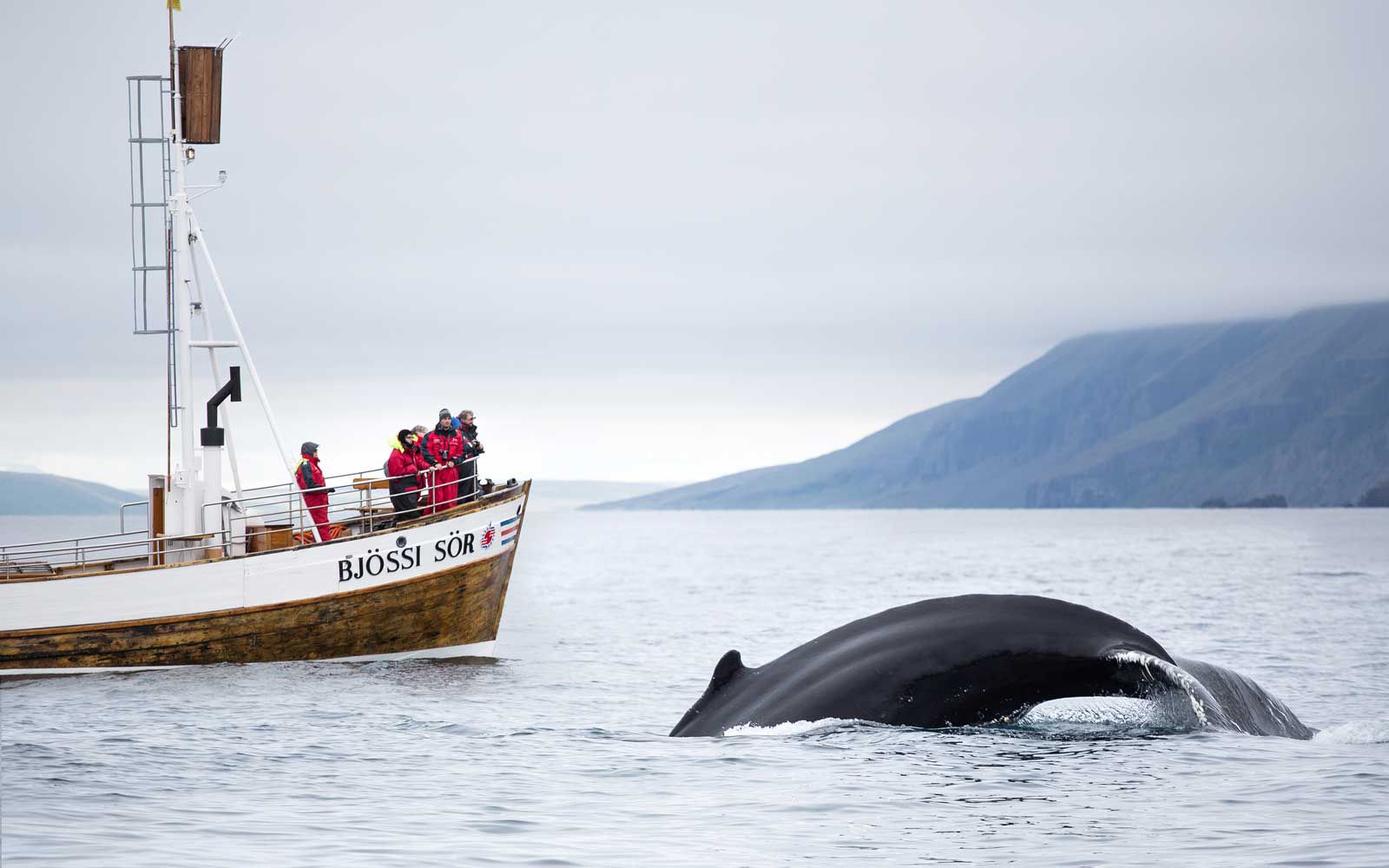 Plan your Iceland trip: Best months for weather and sights