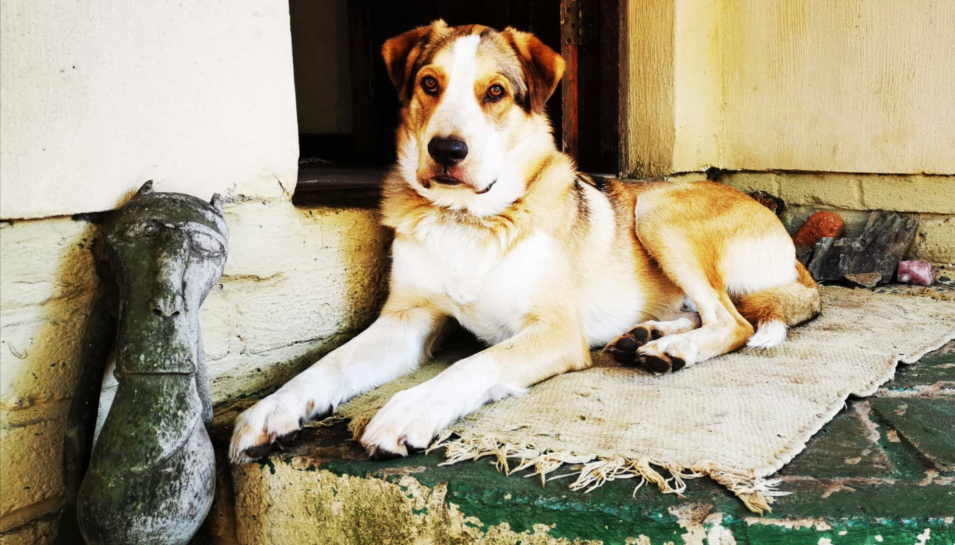 8 Musical Instruments That Are Easy—and Fun—to Learn Later in Life