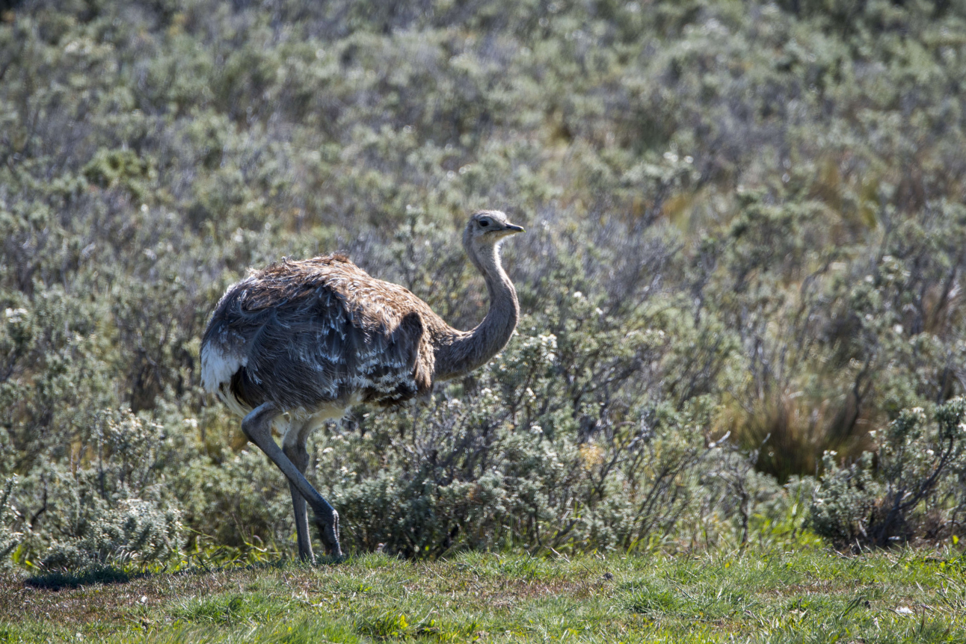 Forunderlige vaner hos kendte historiske personer