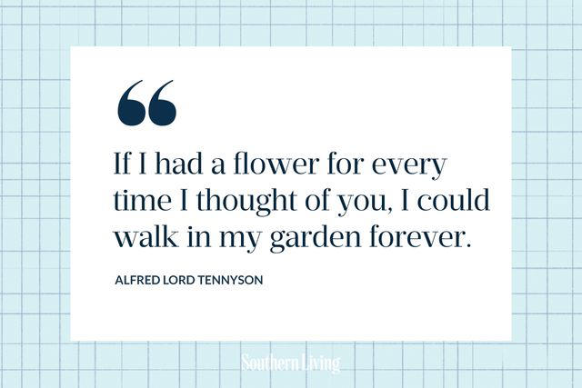 95 Good Night Quotes That Will Bring Peaceful Sleep