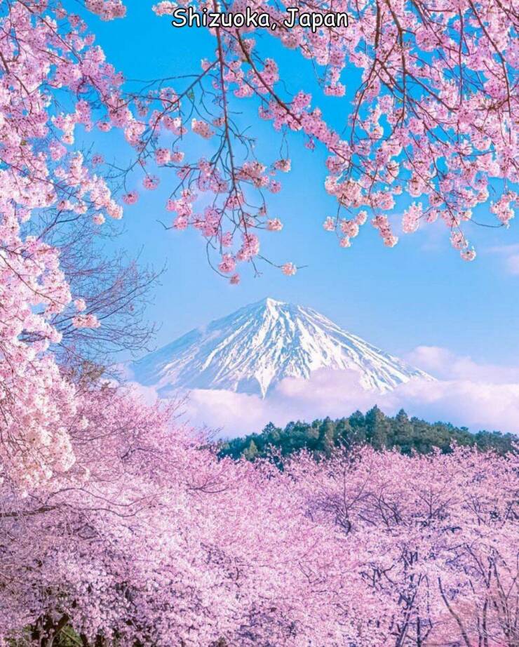 34 Stunning Photos Capturing Earth's Rich Variety