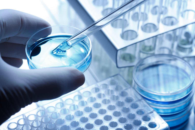 Abivax’s 580% surge hands biotech hedge funds a rare 2025 win